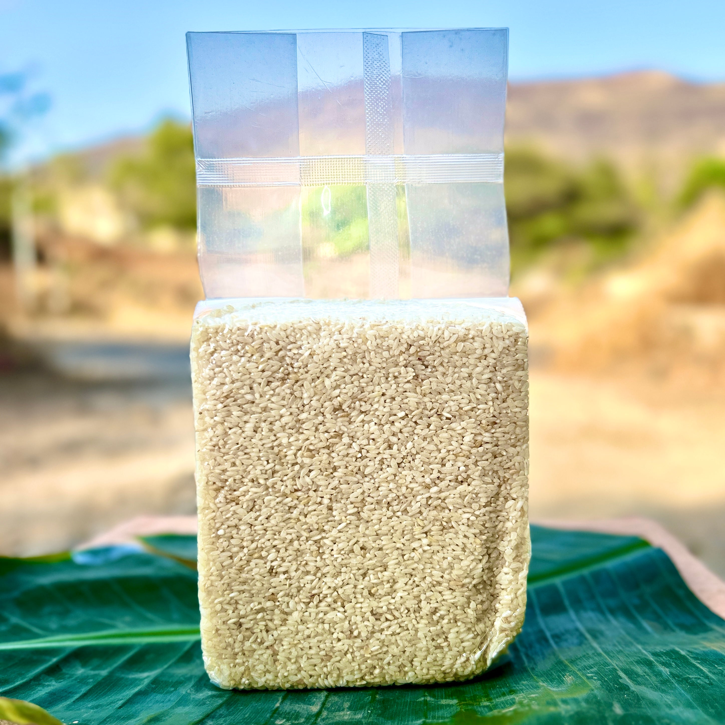 Ambemohar Rice (Fragrant Rice) – PIP AGRO