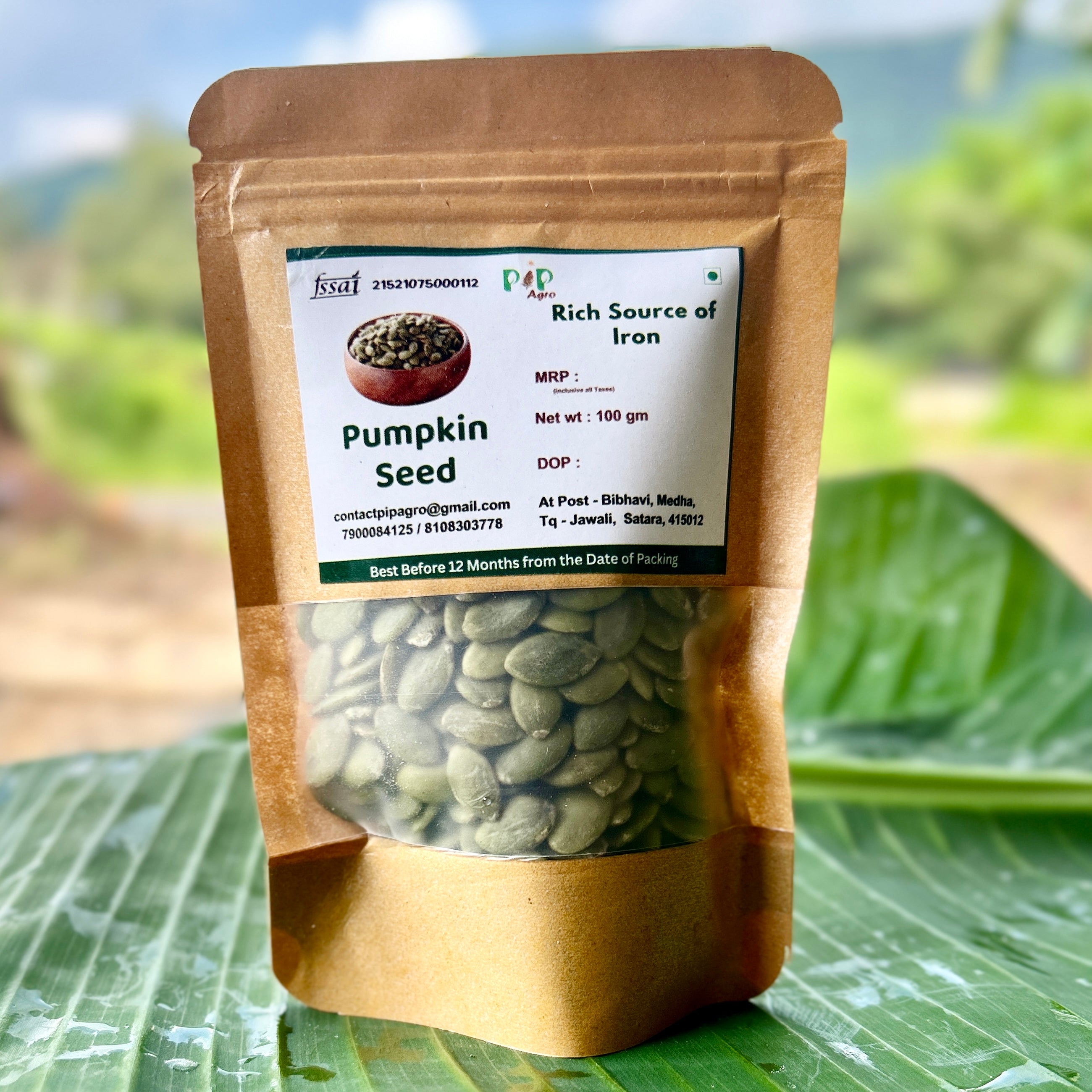 Healthy Pumpkin Seed | लाल भोपळा बी – PIP AGRO